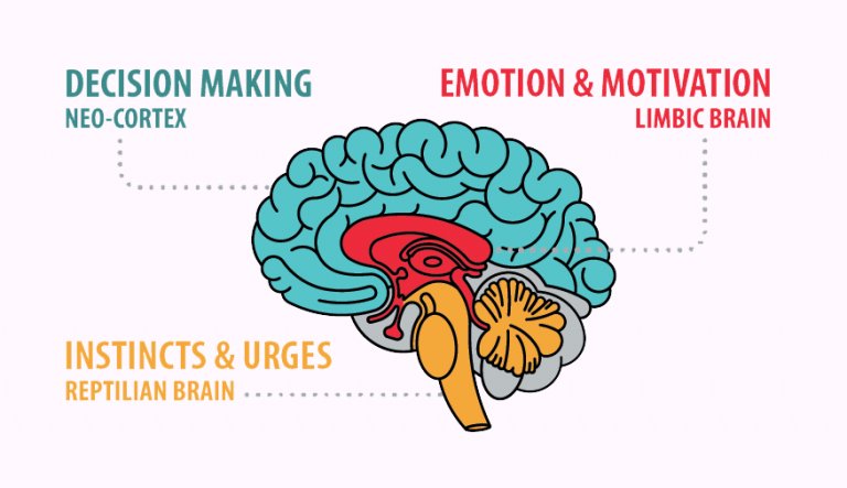Why is it important to label emotions? – SLI